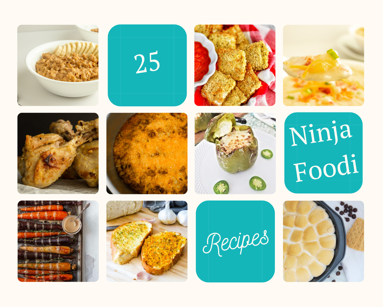 25 Recipes Cooked in the Ninja Foodi - Tidbits by Taylor